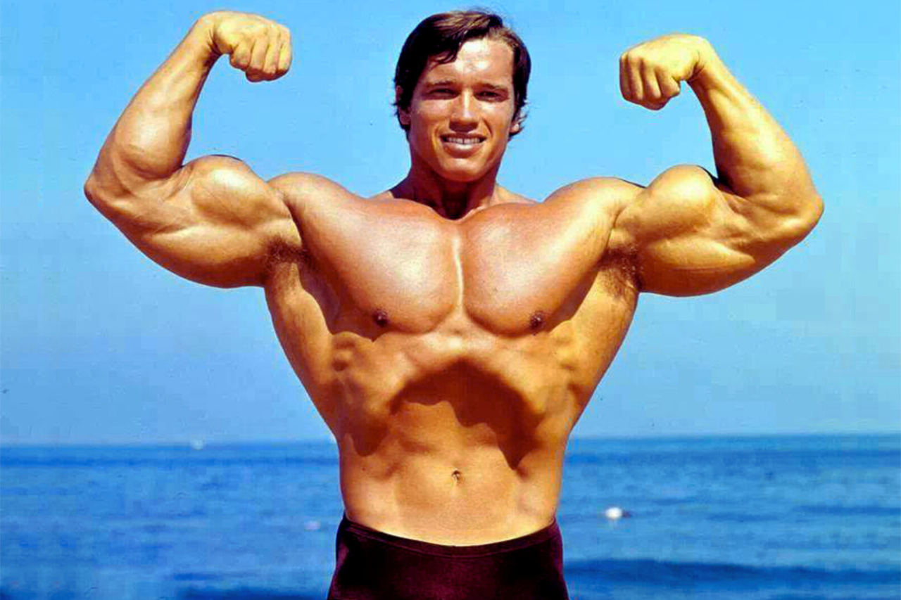 Arnold Schwarzenegger Trainingsplan (Arnold-Split)
