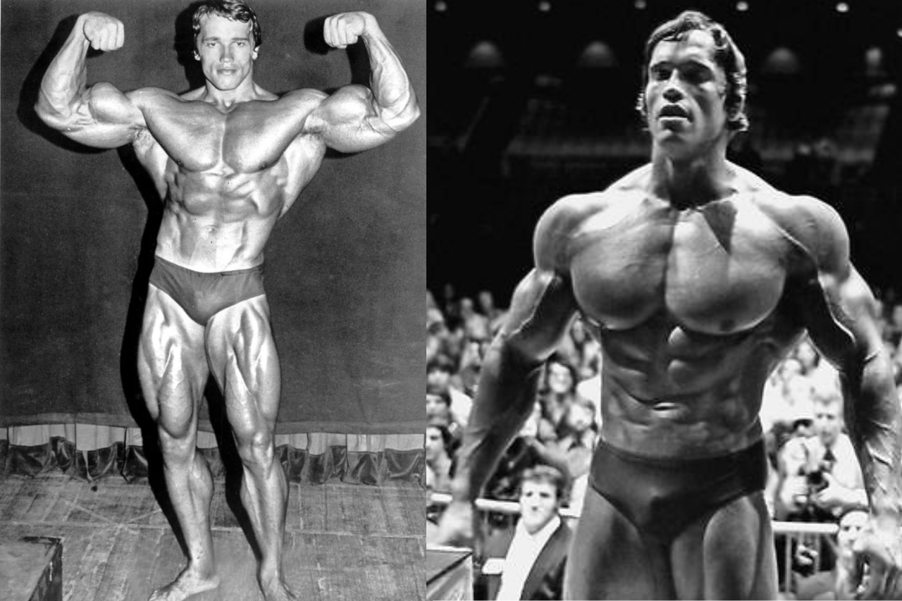 Arnold Schwarzenegger Trainingsplan (Arnold-Split)